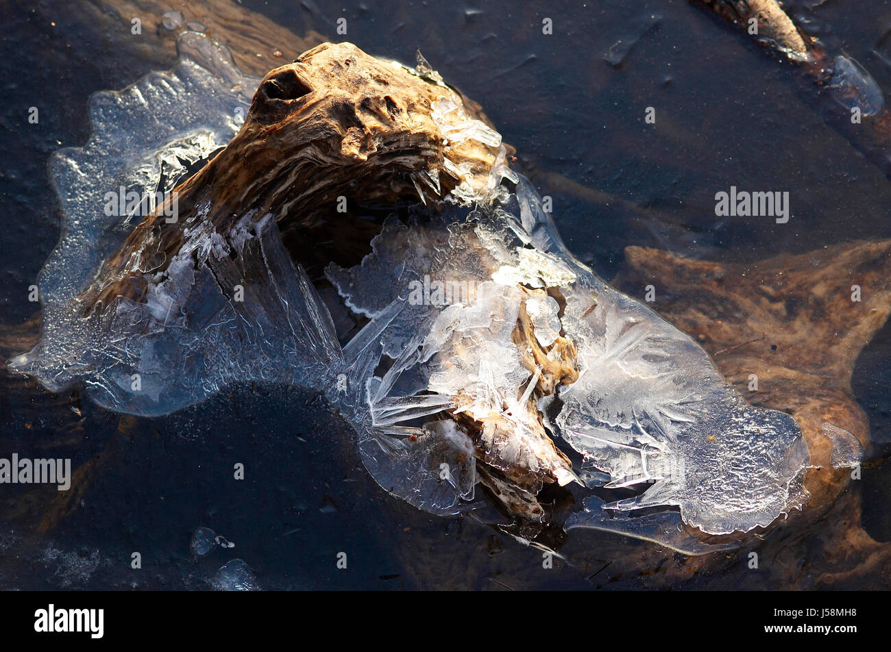 Icebreaking hi-res stock photography and images - Alamy