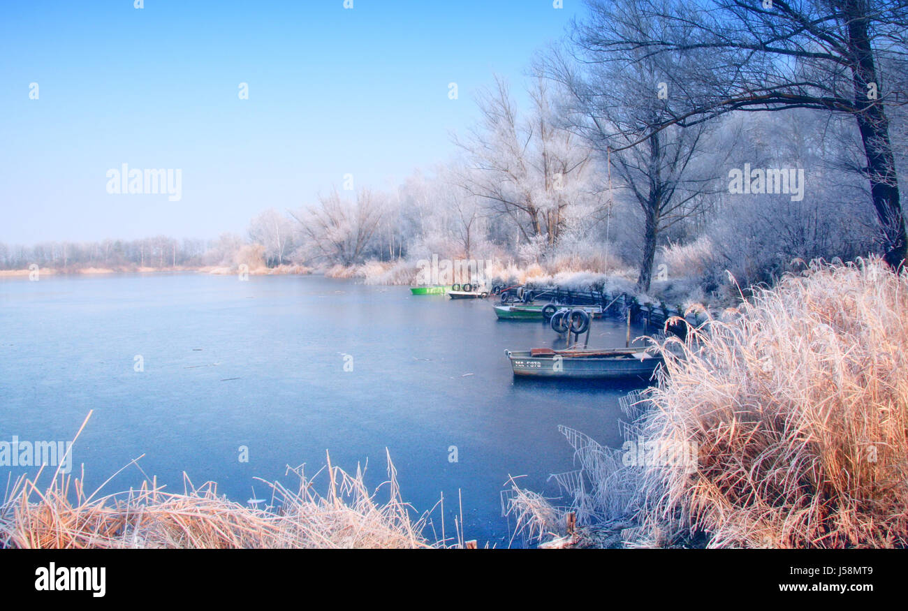 blue tree winter cold ice boats sailing boat sailboat rowing boat boat ...