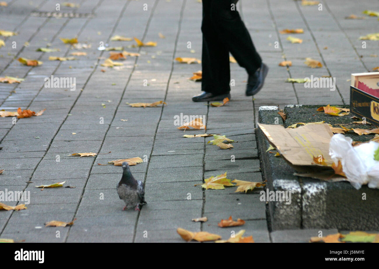 Birds With Human Legs