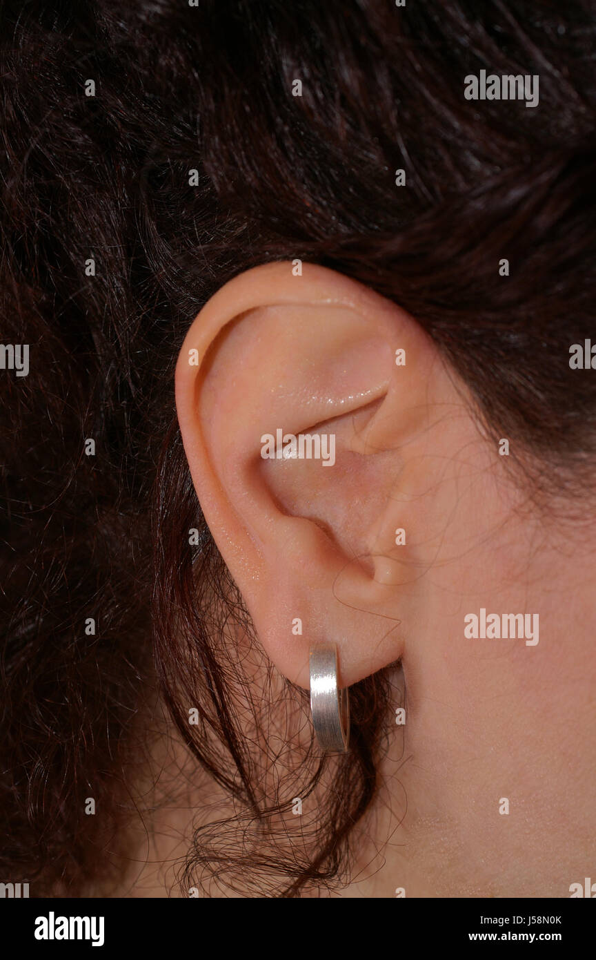 listen shell snail sense earring senses organ hearing auditory canal ...