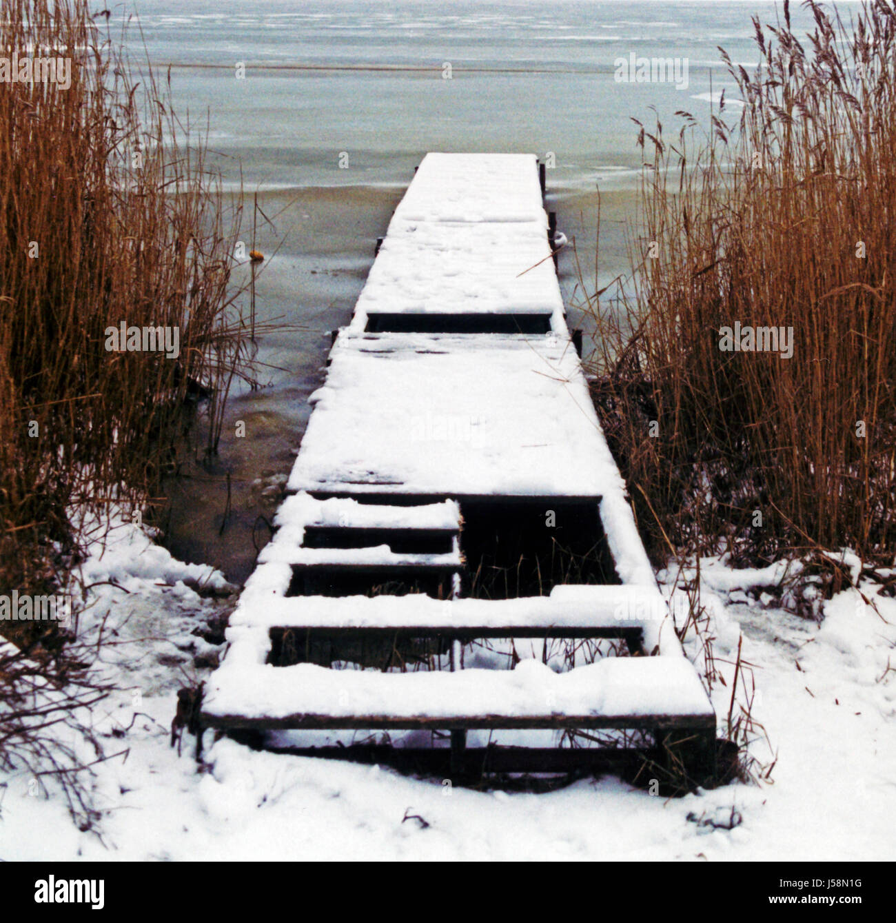 winter,reed,ice,bridge,frozen,fresh water,lake,inland water,water,snow ...