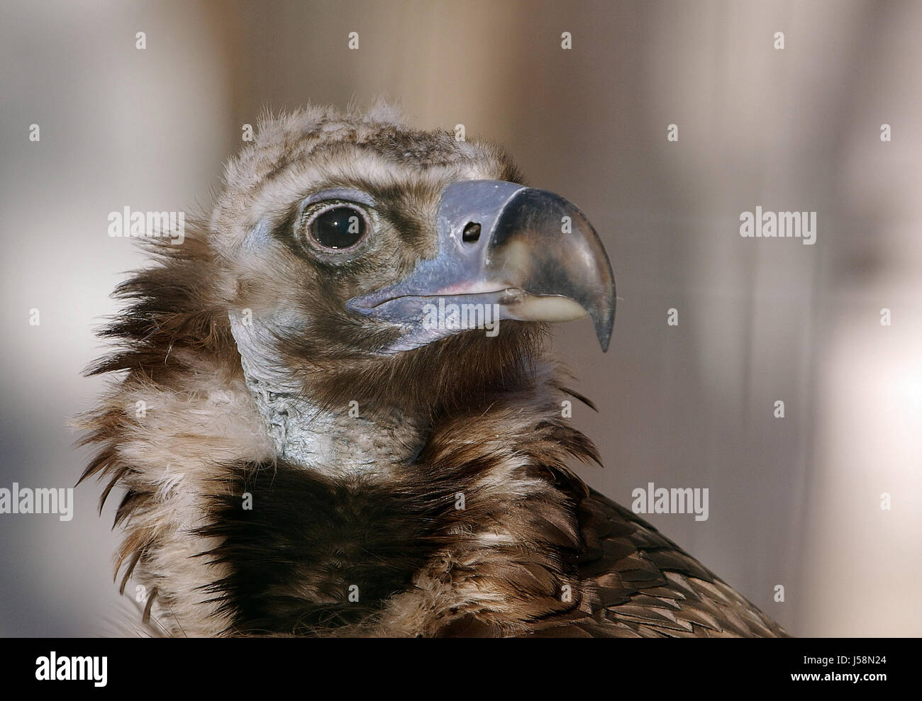 Yesss High Resolution Stock Photography and Images - Alamy