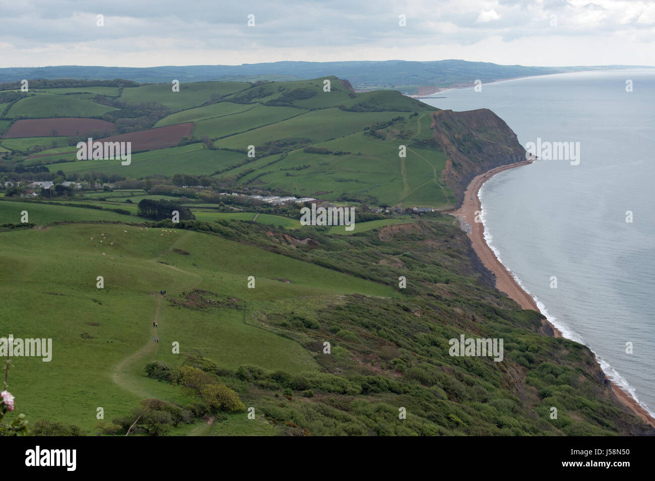 Panoramic views from Golden Cap, Dorset Stock Photo - Alamy