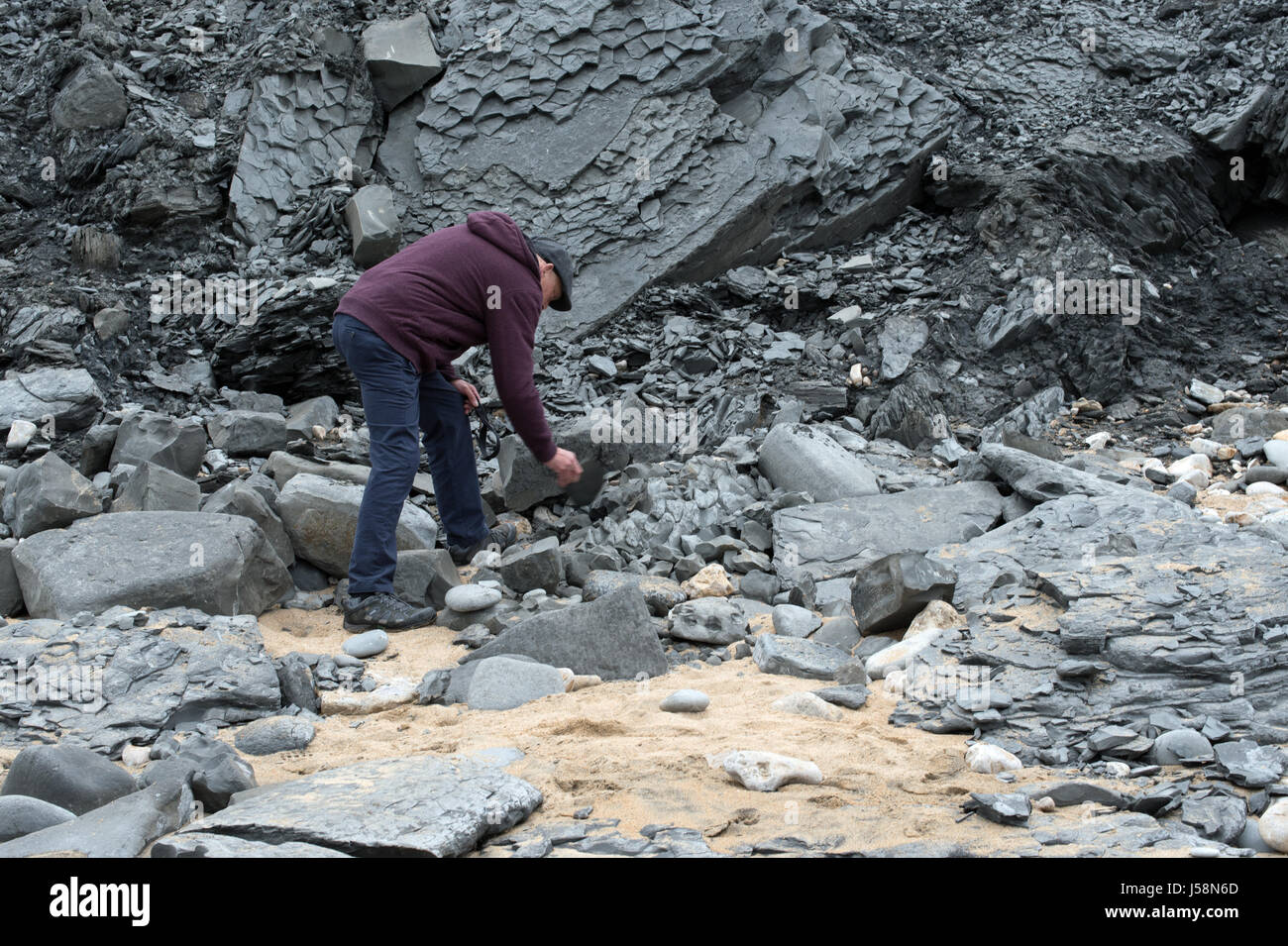 Fossil-enriched cliffs at Charmouth, Dorset Stock Photo - Alamy