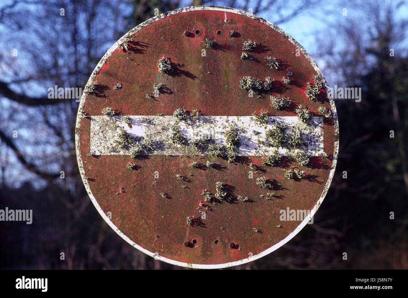 sign signal ailing moss traffic sign passage plait lichens illegal ...