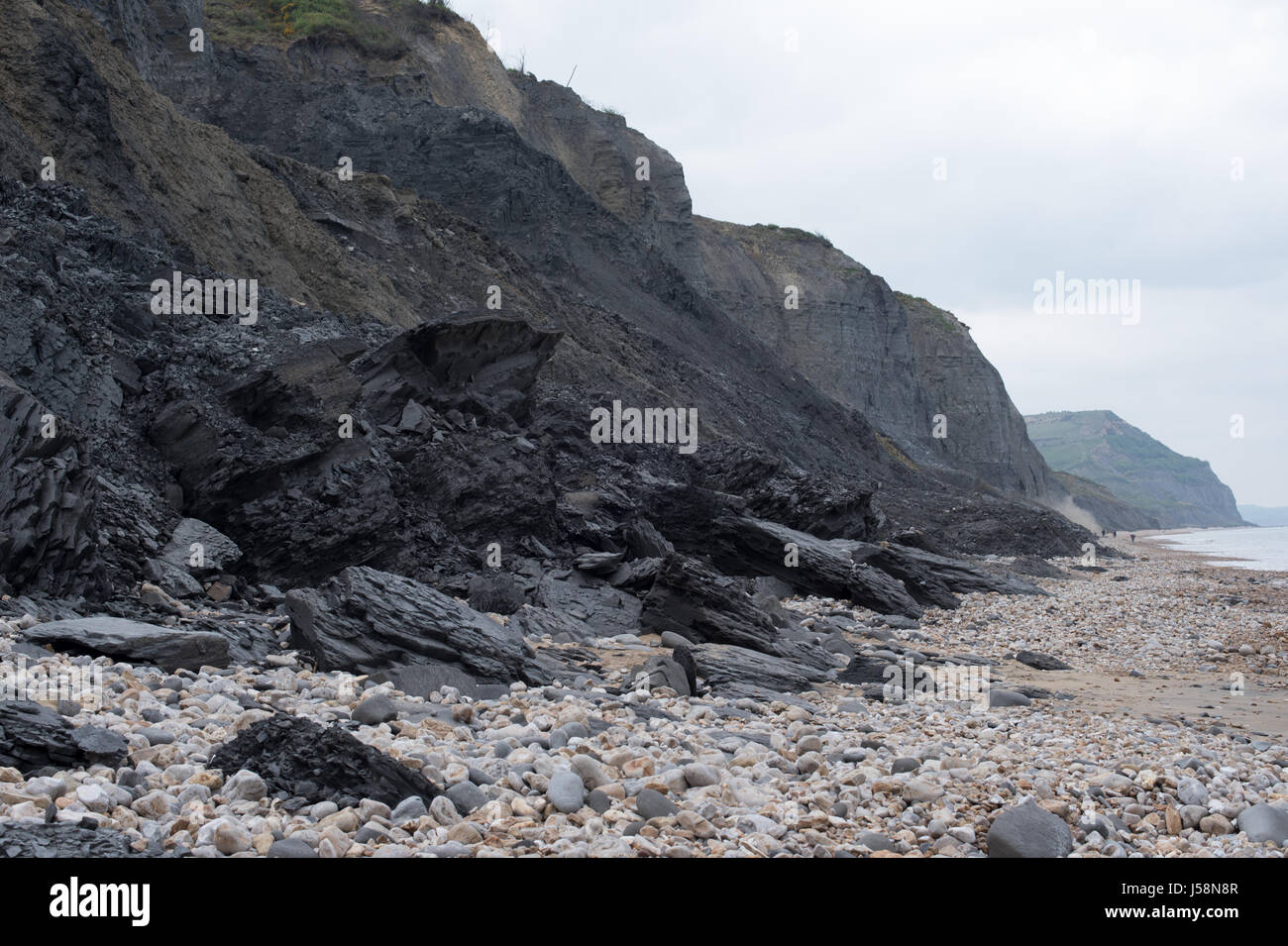 Fossil-enriched cliffs at Charmouth, Dorset Stock Photo - Alamy