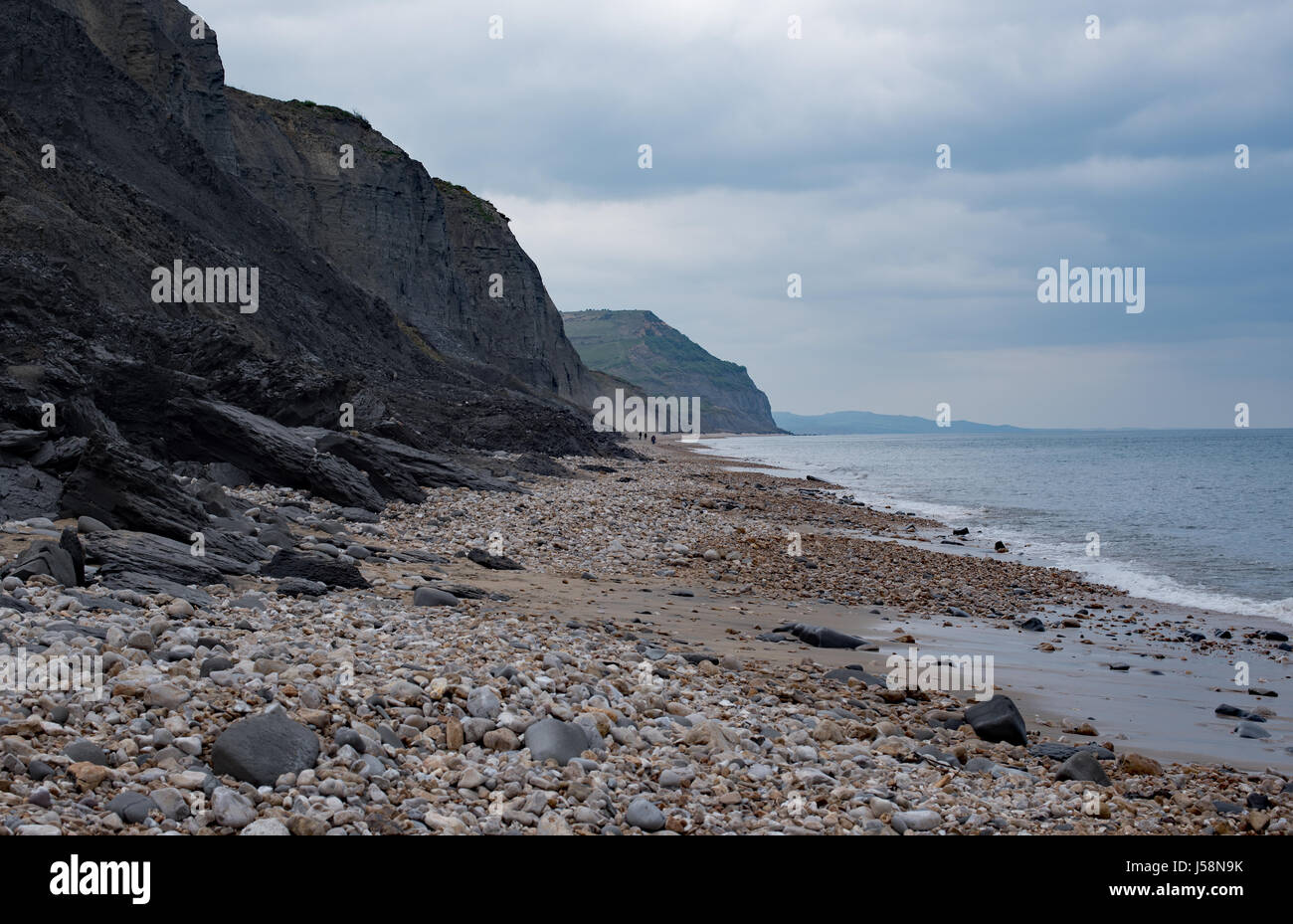 Fossil-enriched cliffs at Charmouth, Dorset Stock Photo - Alamy