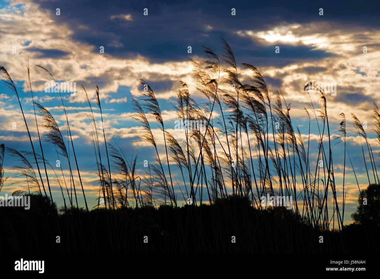 landscape Shaw view in dounab Stock Photo - Alamy