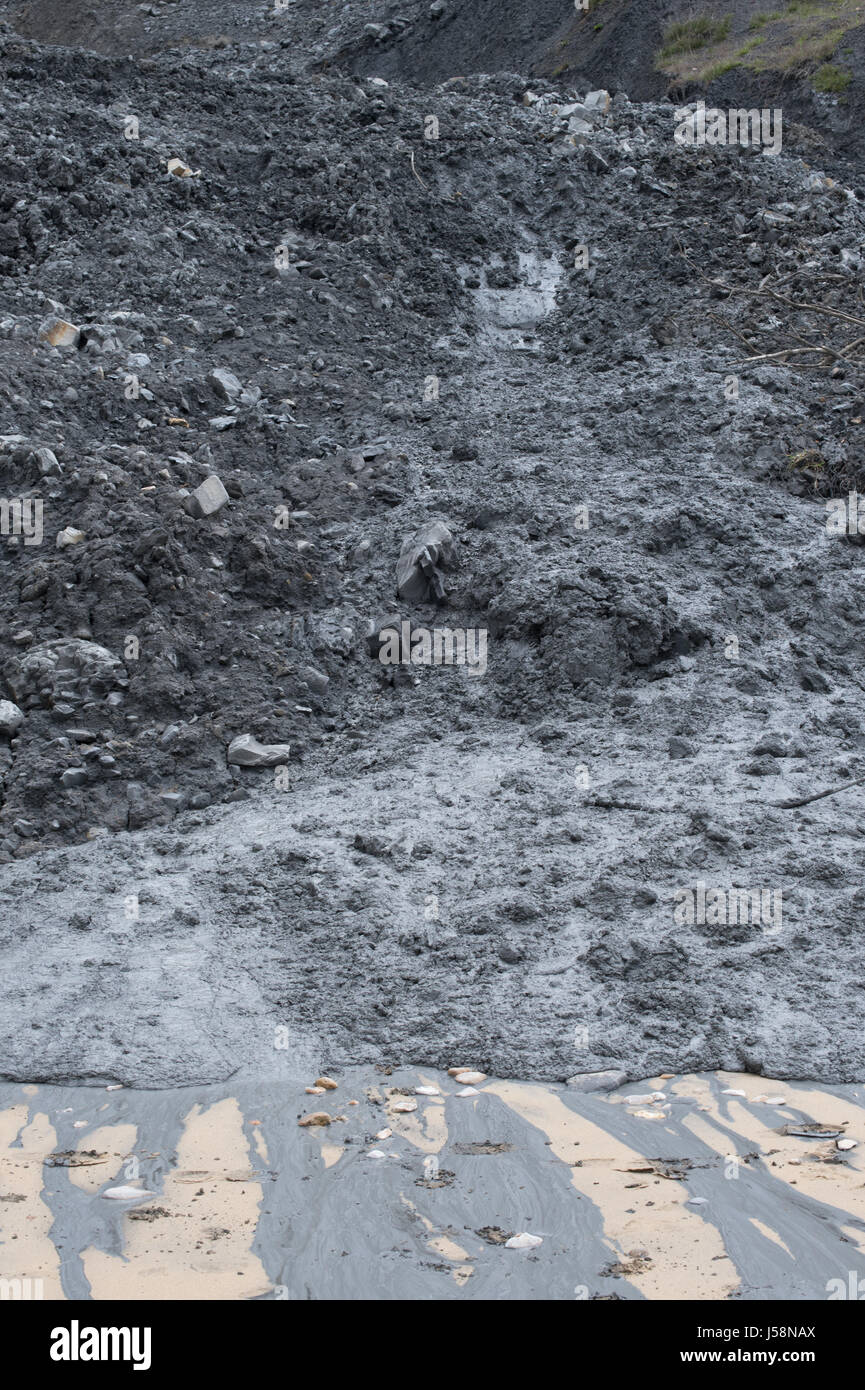 Fossil-enriched cliffs at Charmouth, Dorset Stock Photo - Alamy