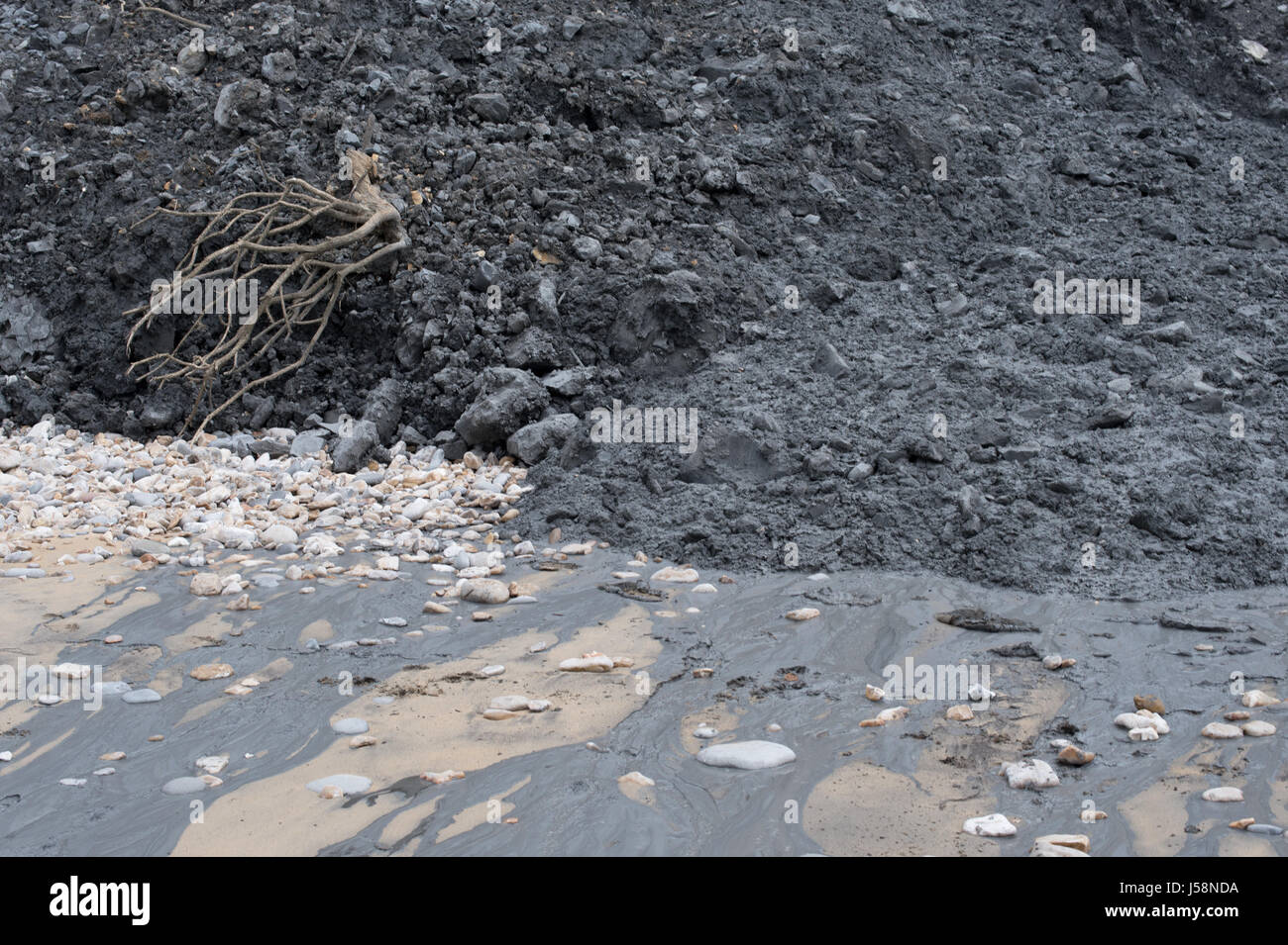 Fossil-enriched cliffs at Charmouth, Dorset Stock Photo - Alamy