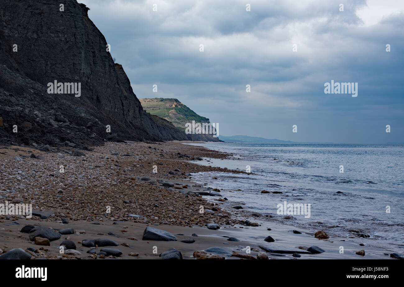 Fossil-enriched cliffs at Charmouth, Dorset Stock Photo - Alamy