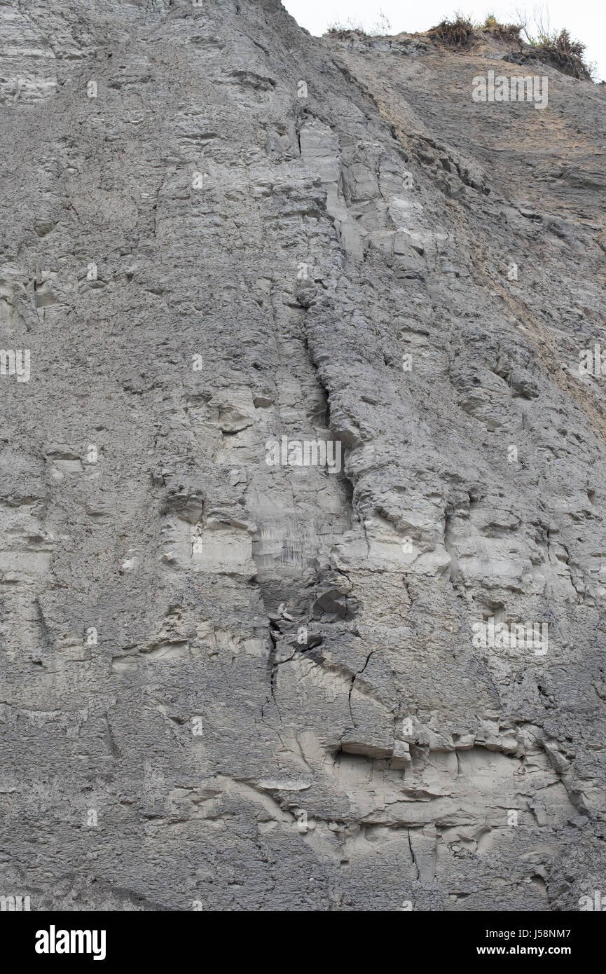 Fossil-enriched cliffs at Charmouth, Dorset Stock Photo - Alamy