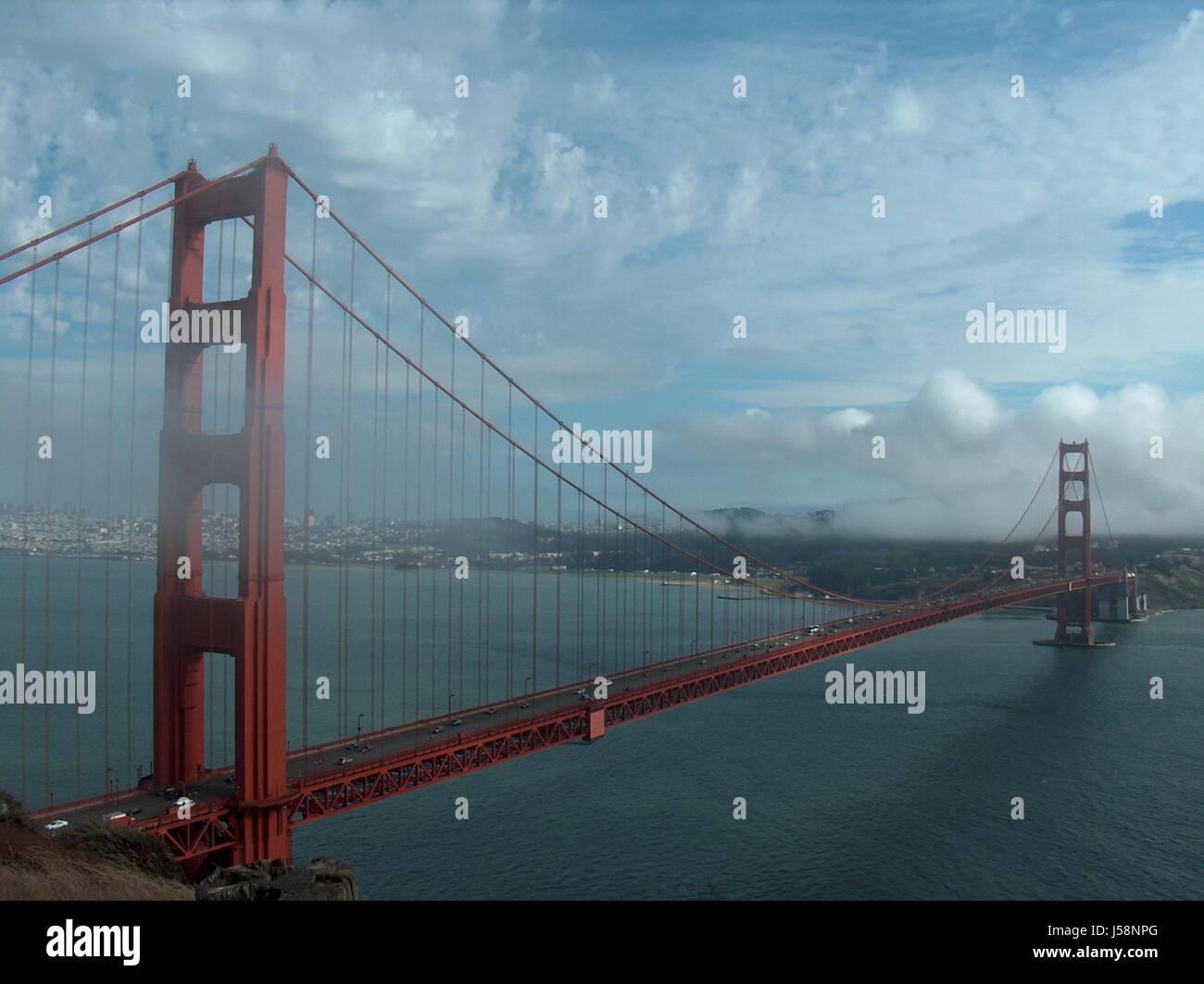 city town tree trees engineering bridge processor bridge fog attraction ...