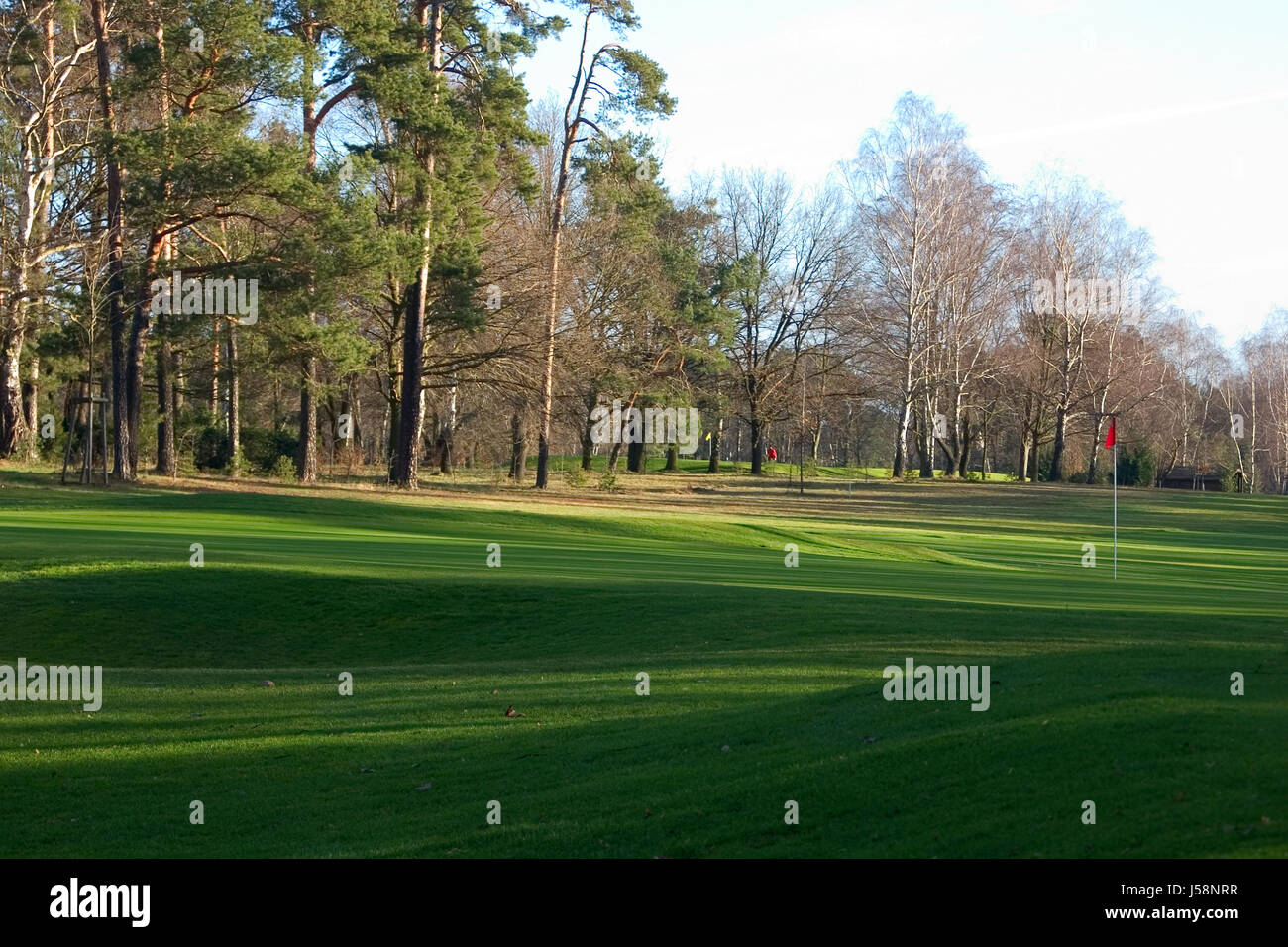 tree trees park gulf golf course cultivated meadow scenery countryside ...