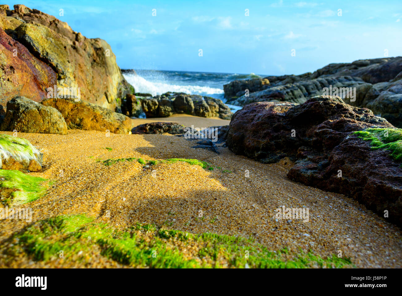 Waves washing over rocks, Indian Ocean Stock Photo - Alamy