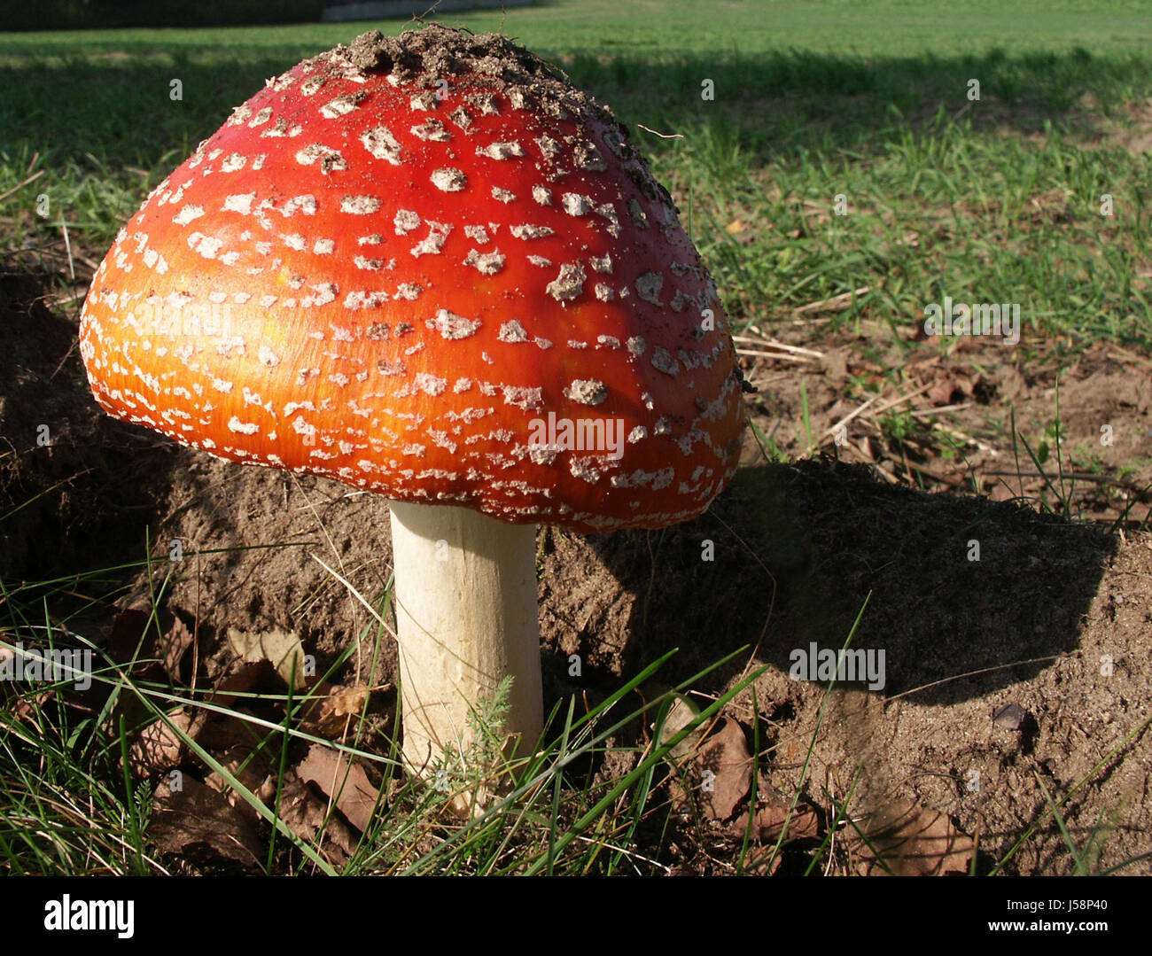Hexenkreis hi-res stock photography and images - Alamy