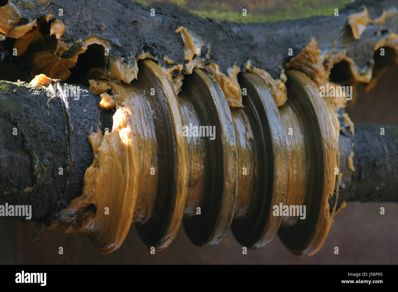 wheel engine drive motor gear cogwheel snail grease besmear smeared ...