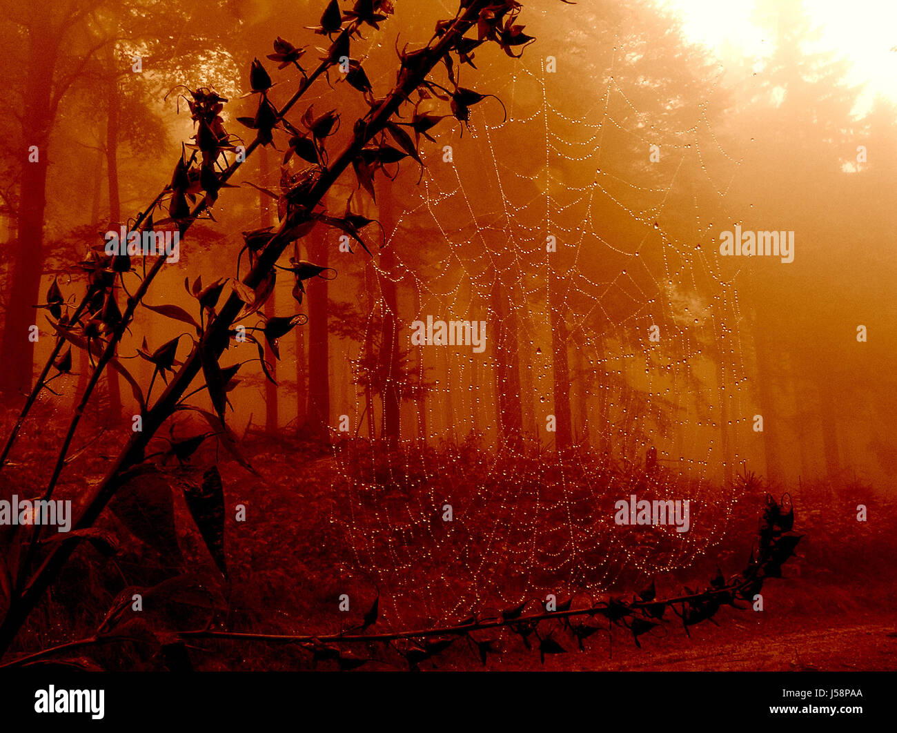 Breach way hi-res stock photography and images - Alamy