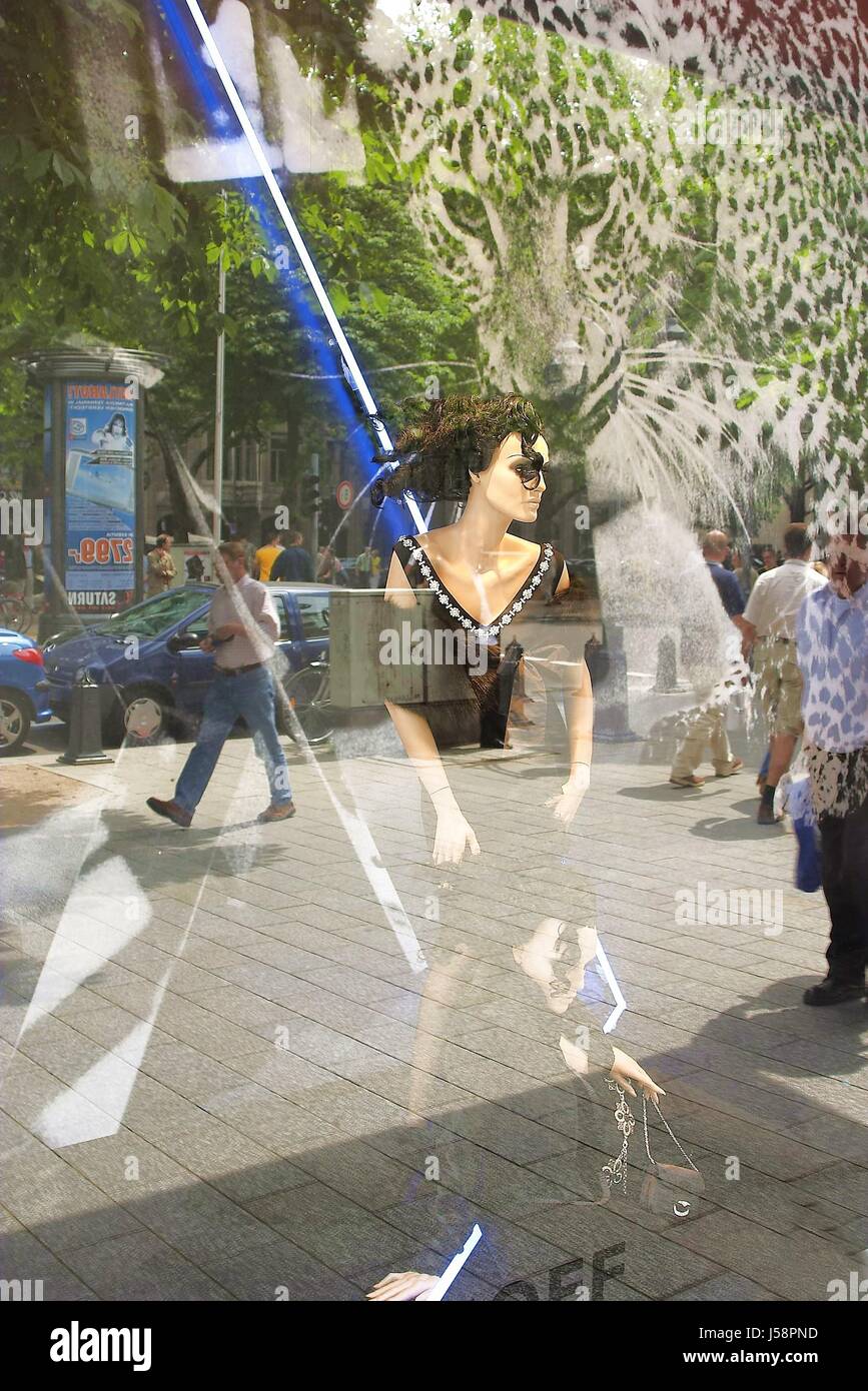 city town experiment mirroring shop window dummy cat big cat feline ...