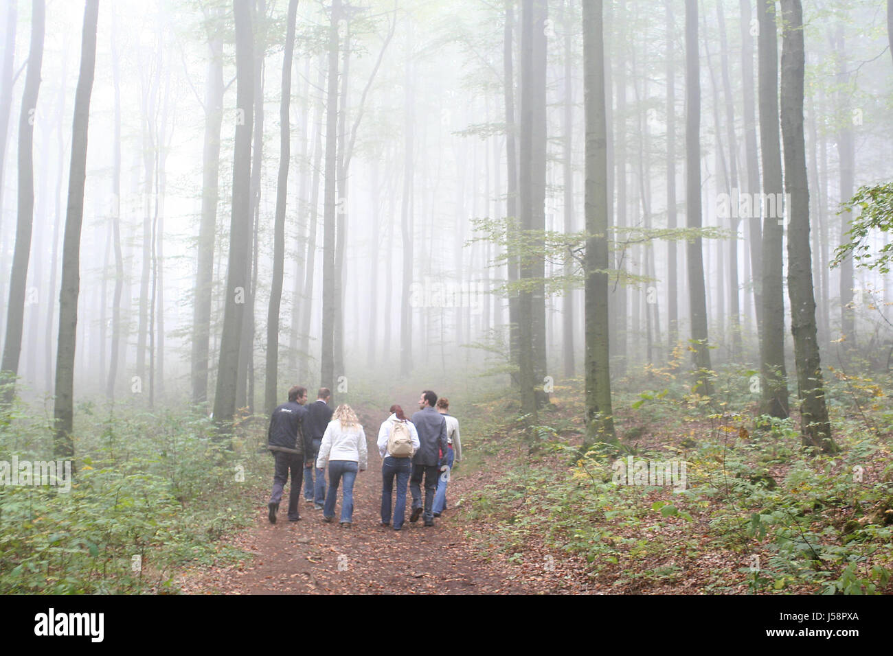 book tree trees hike go hiking ramble fog route rambler rise climb ...