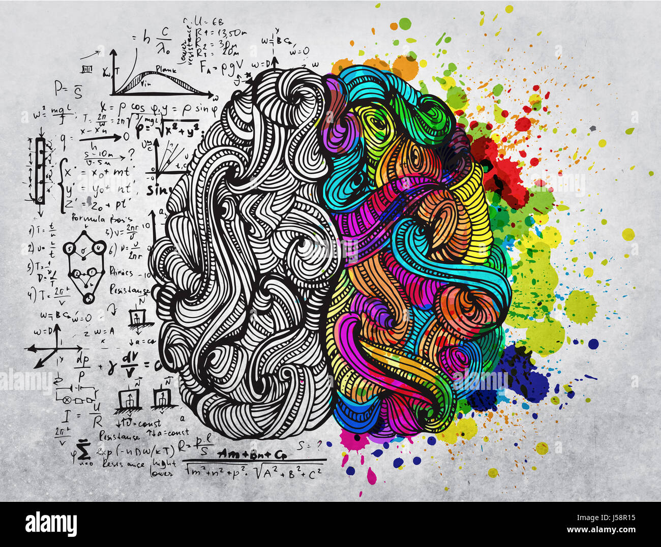 Brain doodle concept about creative right side and logical left side ...