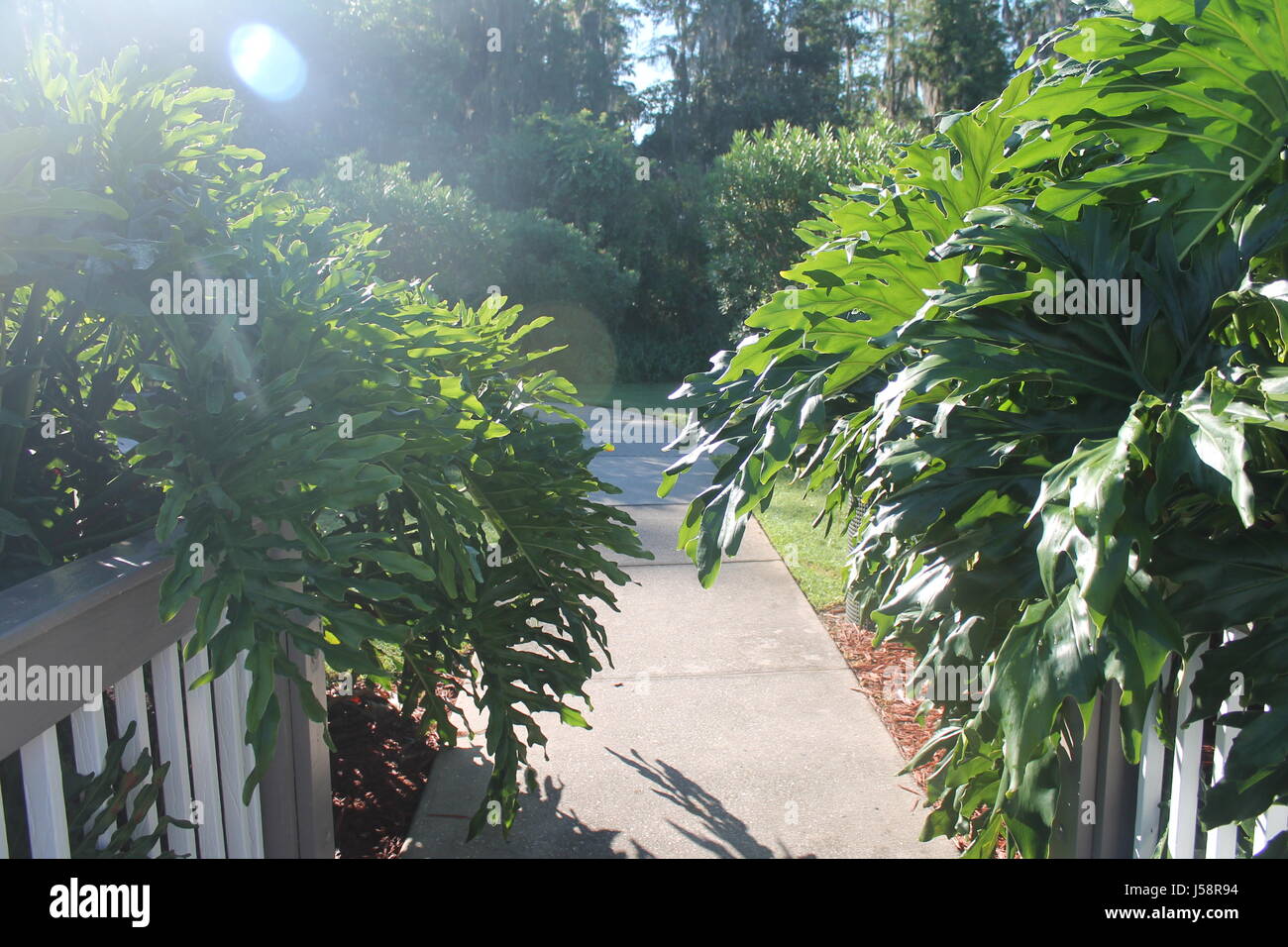 a beautiful path Stock Photo - Alamy