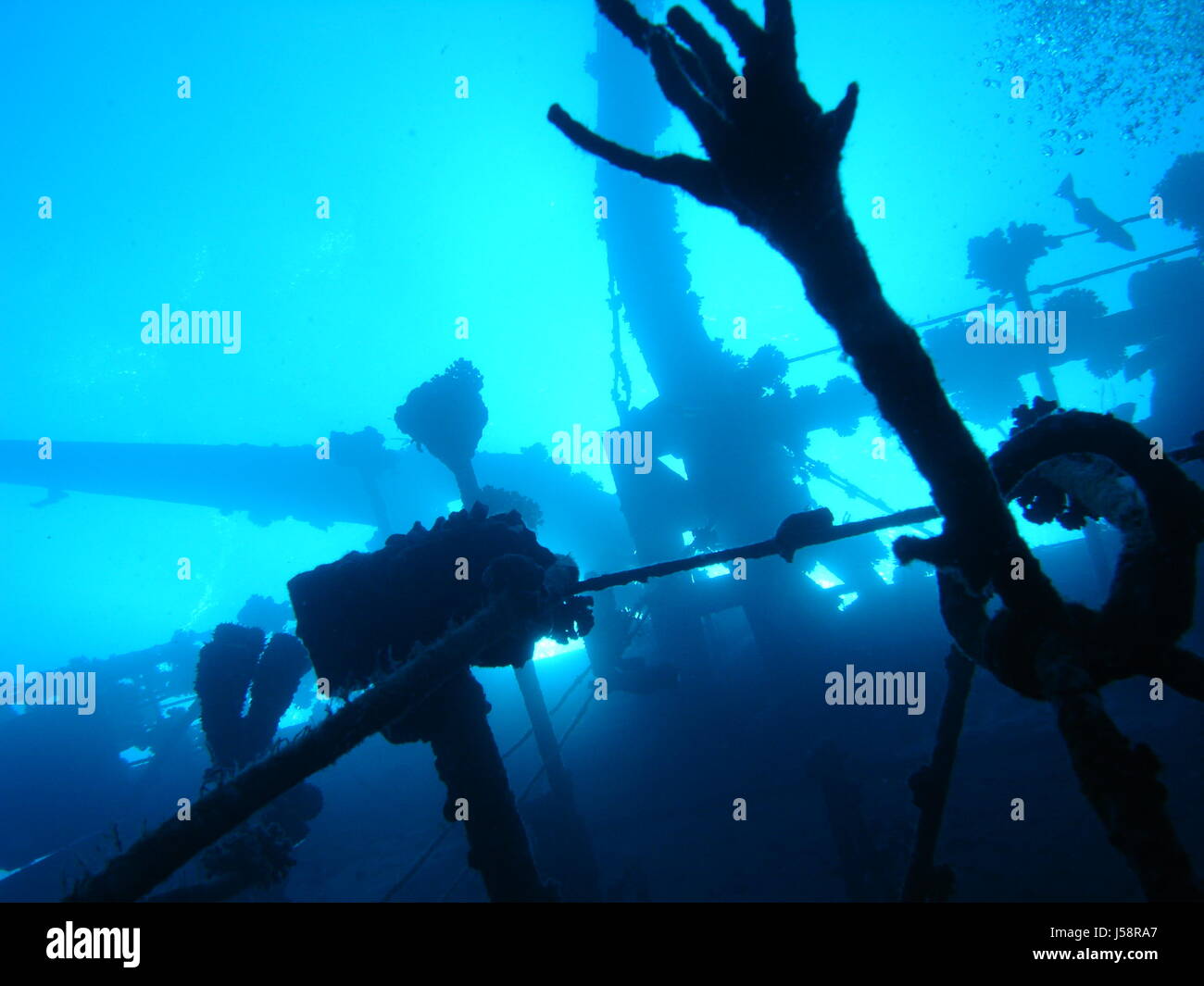 underwater counter-light dive wreck ferry salt water sea ocean water ...