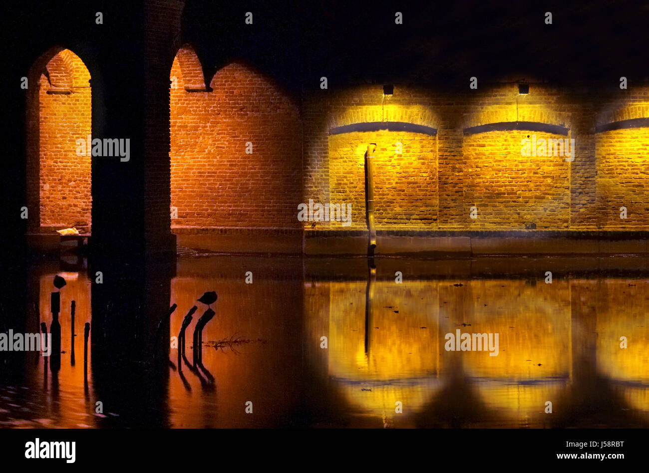 shine shines bright lucent light serene luminous night nighttime night ...