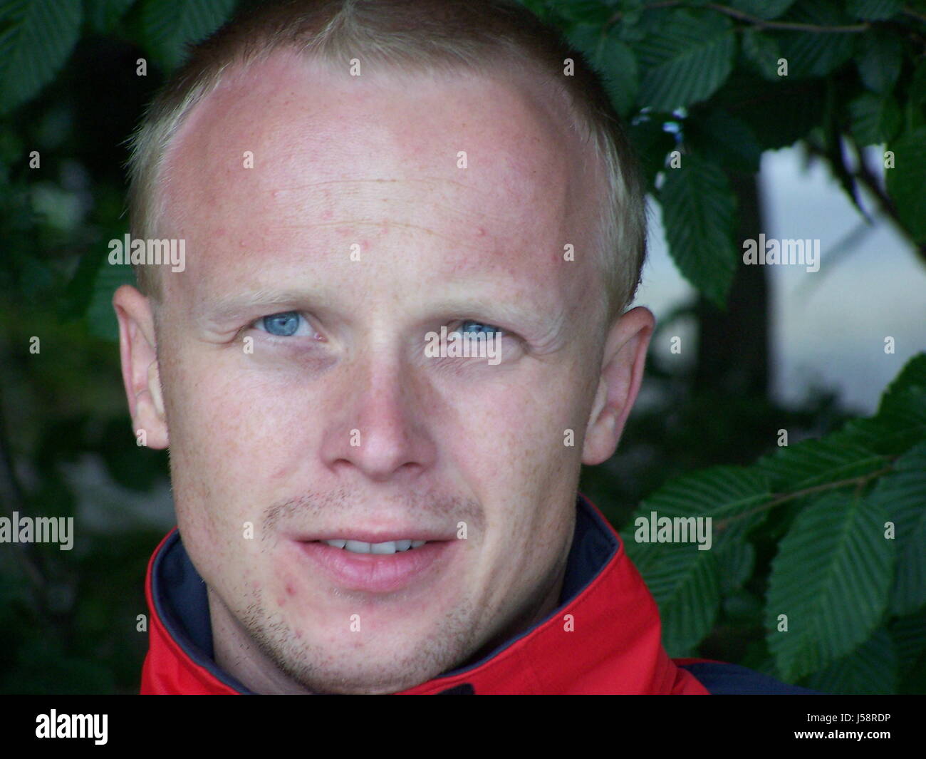 Blaue bltter hi-res stock photography and images - Alamy