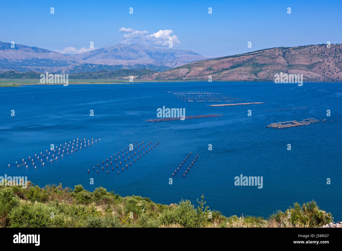 Albania. Butrint or Butrinti lagoon. Mussel farming. The area is a ...