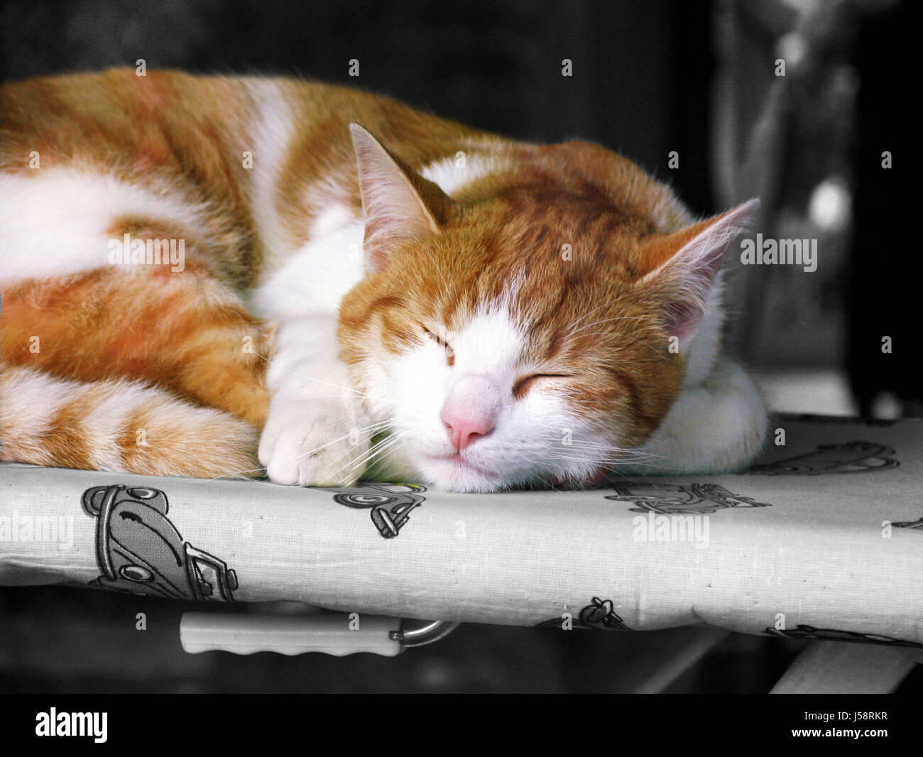 Iron sleep hi-res stock photography and images - Alamy