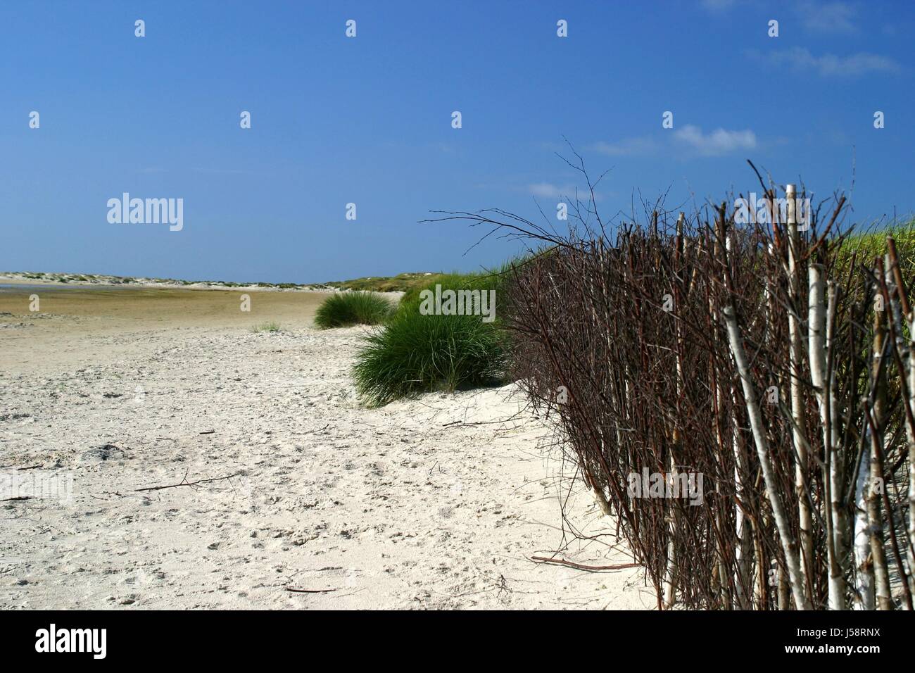 blue green beach seaside the beach seashore water north sea salt water ...