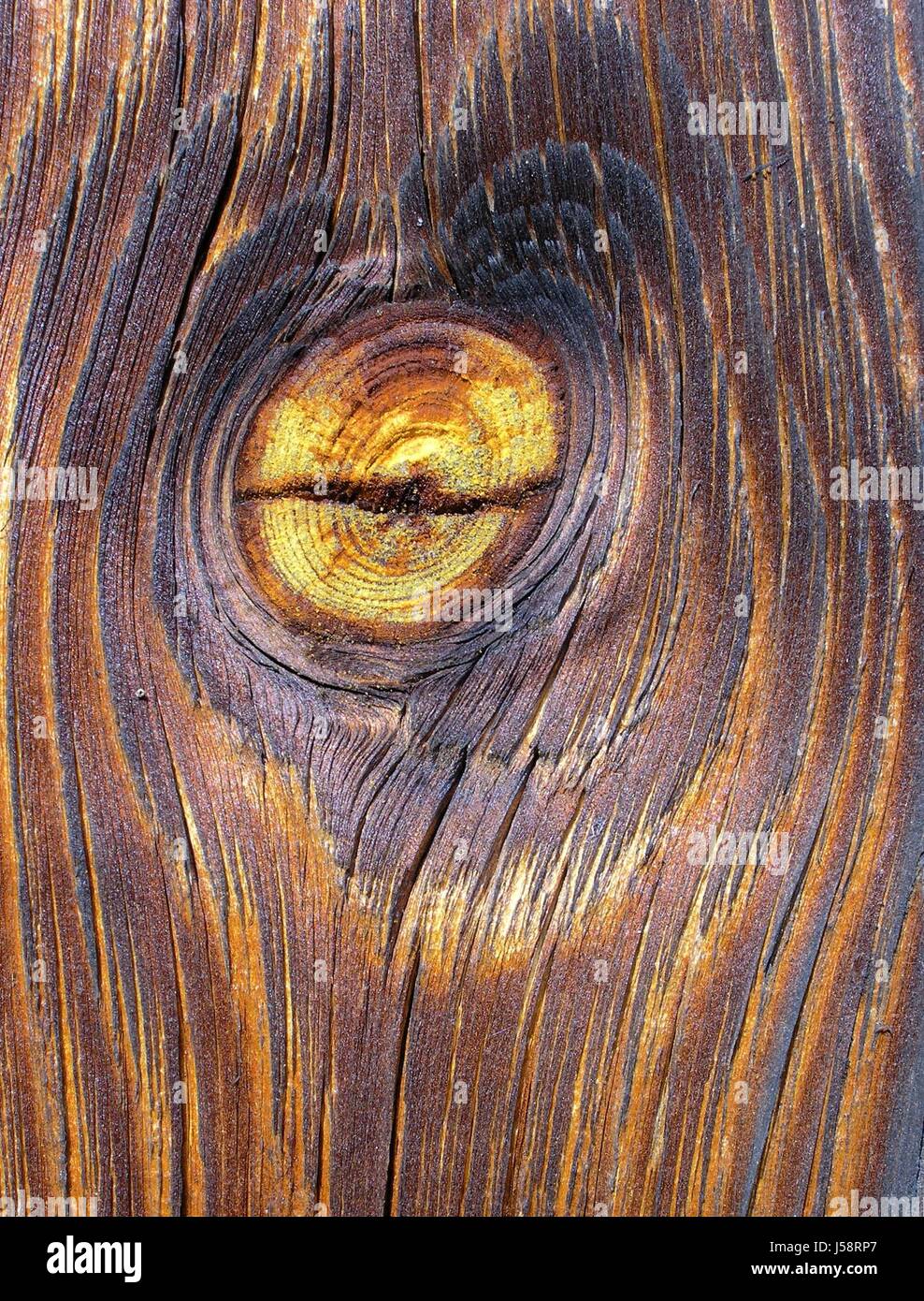 tree brown brownish brunette soft branch barn timber knothole softwood ...