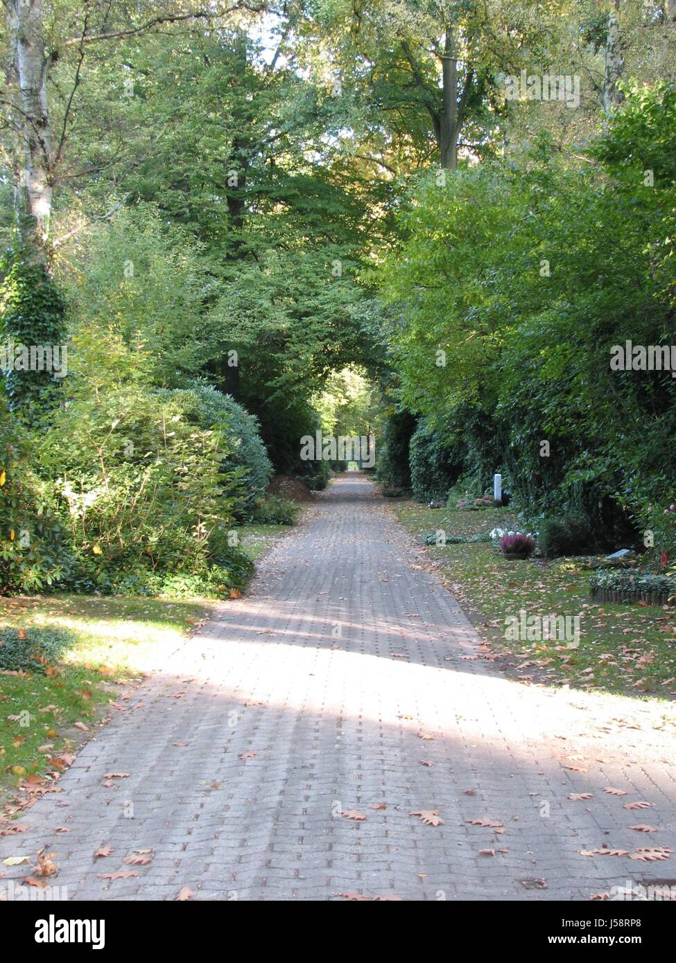 go home alone Stock Photo - Alamy