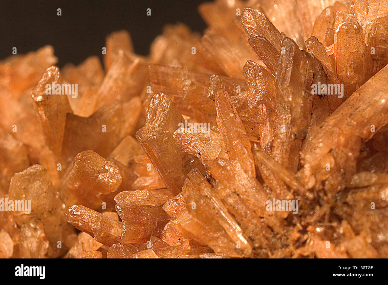 gypsum crystals 03 Stock Photo - Alamy