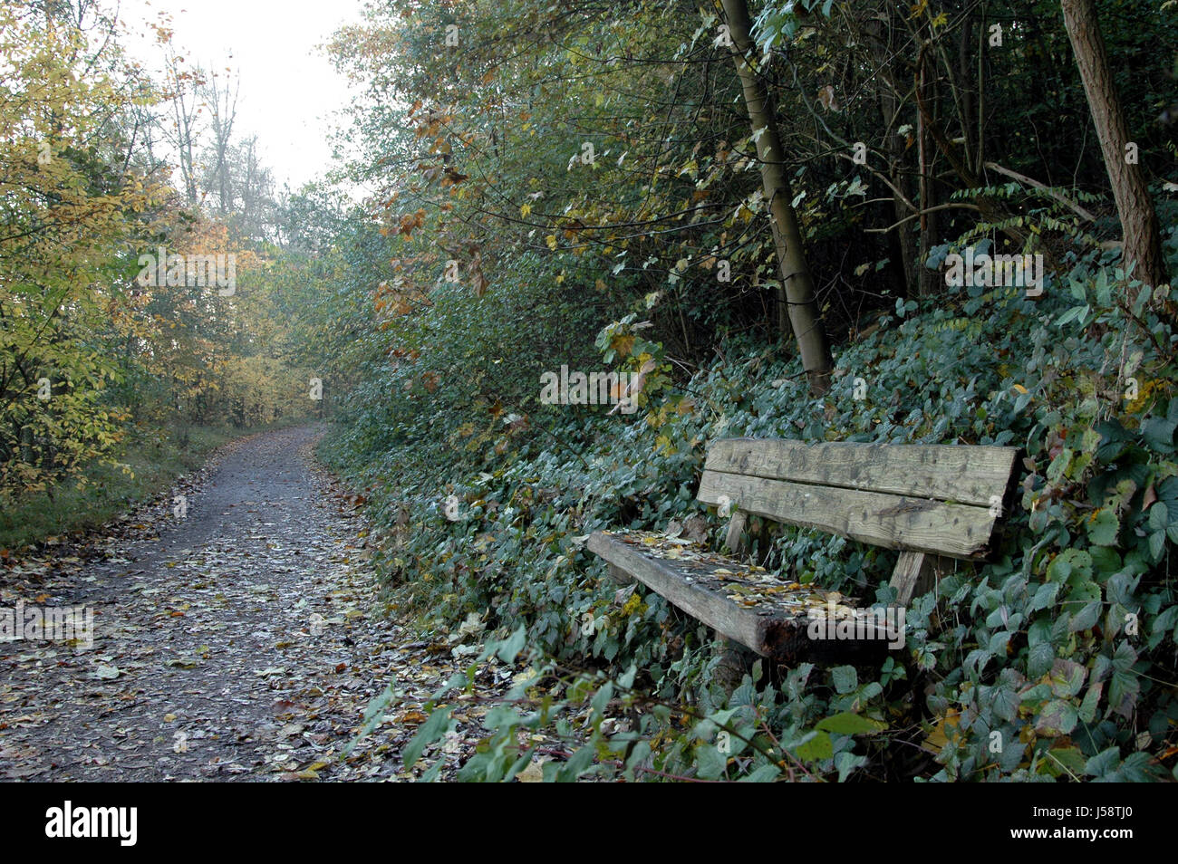 resting along the way Stock Photo - Alamy