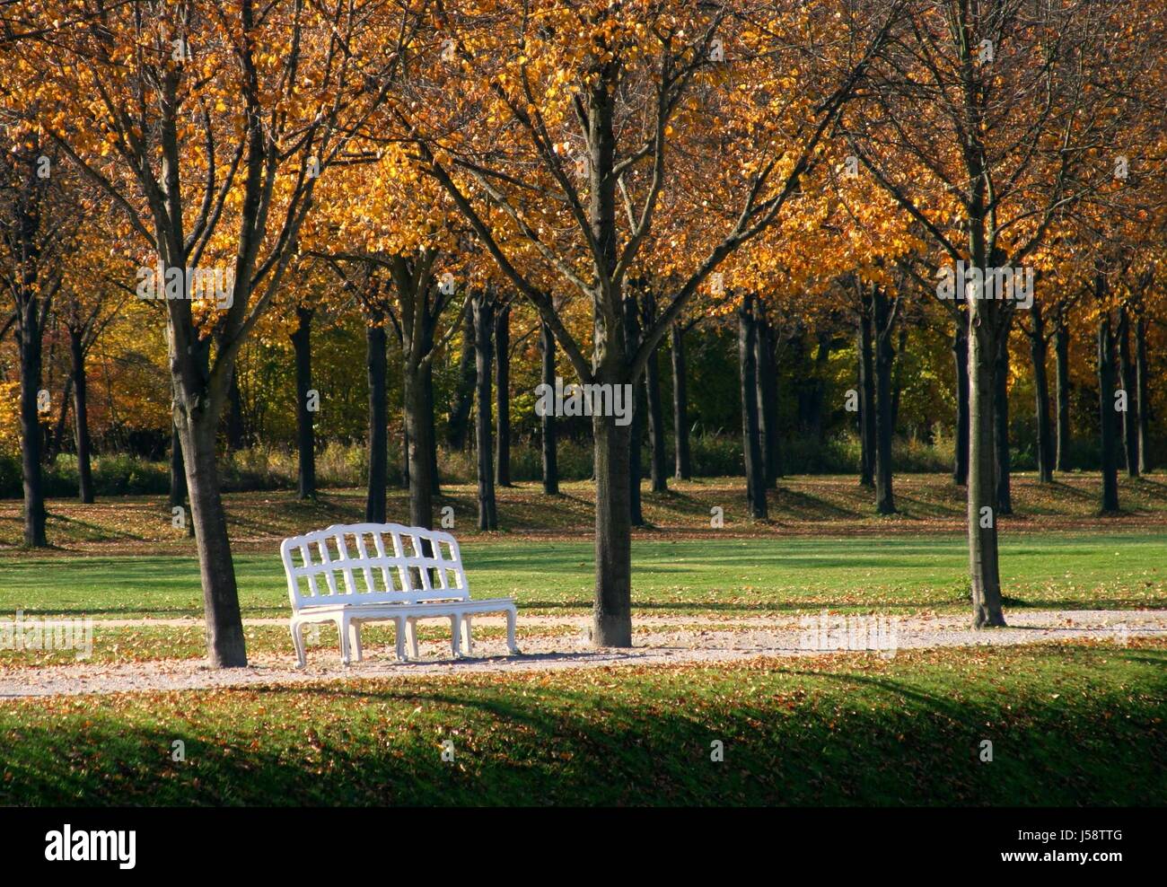 park with bench Stock Photo - Alamy