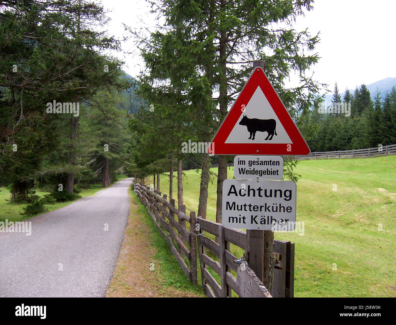 tree trees mountains austrians fence cow cows triangle warning path way ...