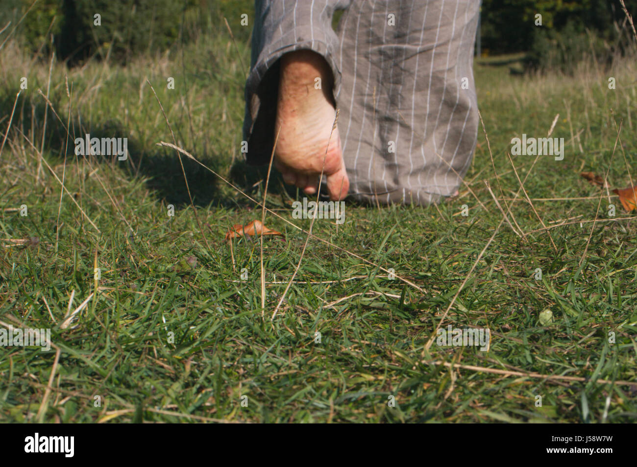 foot barefoot wellness path way meadow grass lawn green walk go going ...