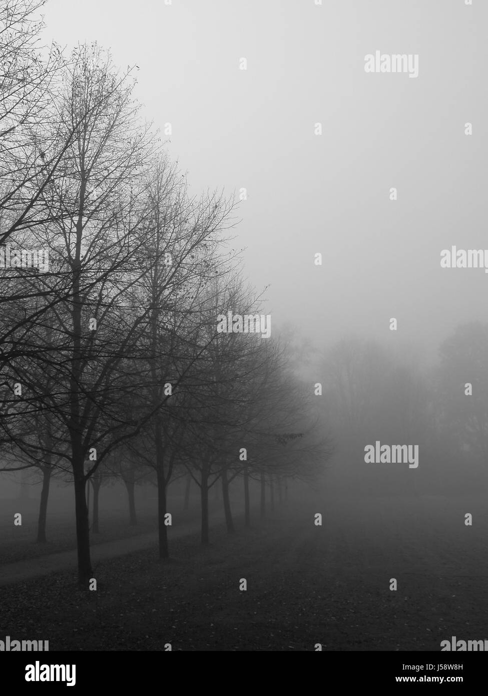 November countryside Black and White Stock Photos & Images - Alamy