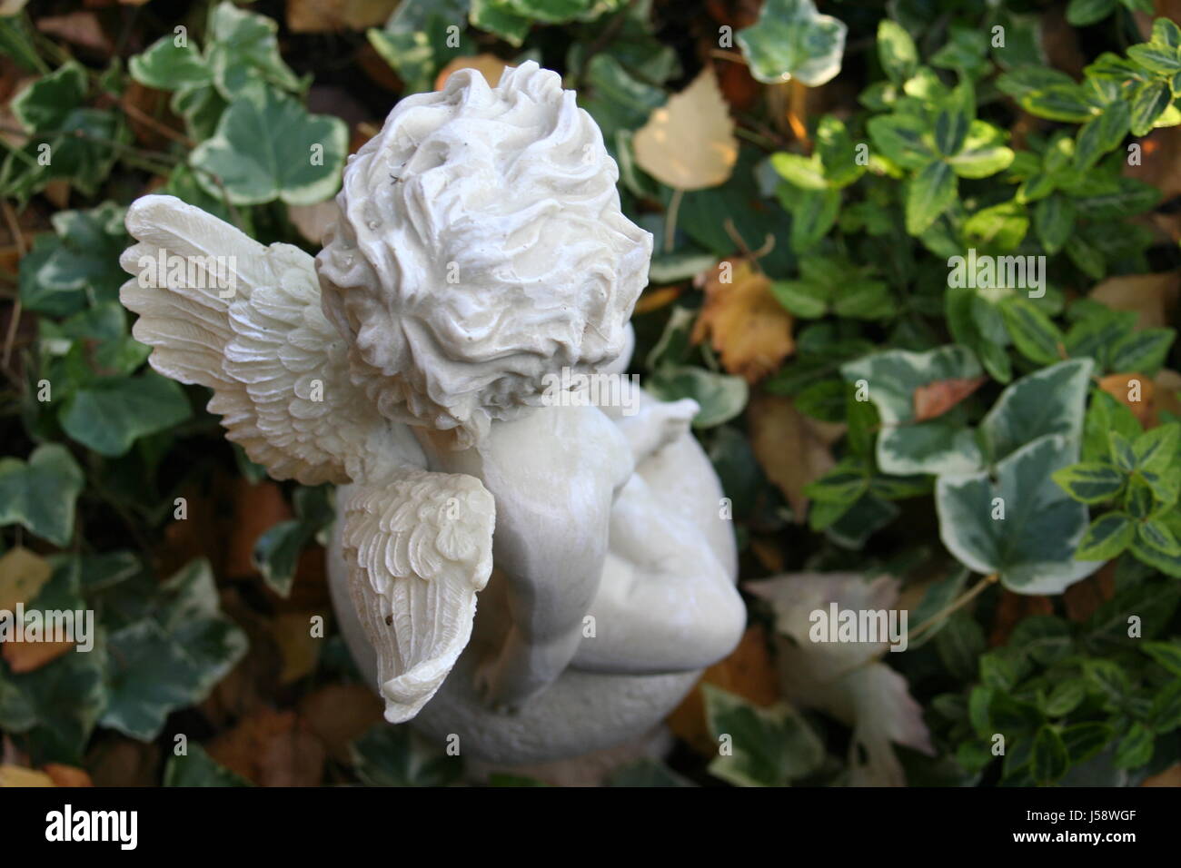 remember death green sad wing cemetery gravestone tombstone mourning ...