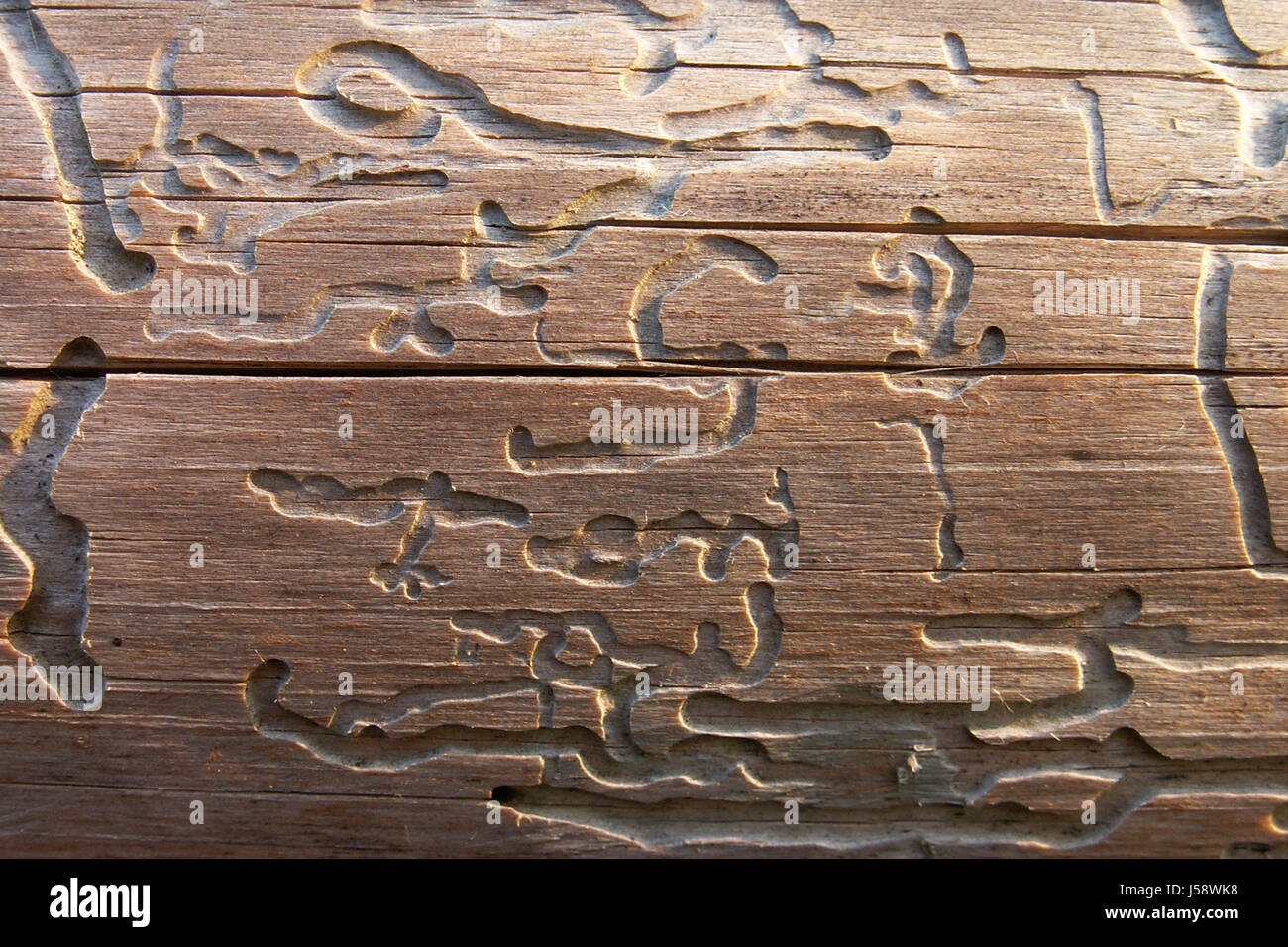 sign signal art to gorge engulf devour abstract symbols imprints ...