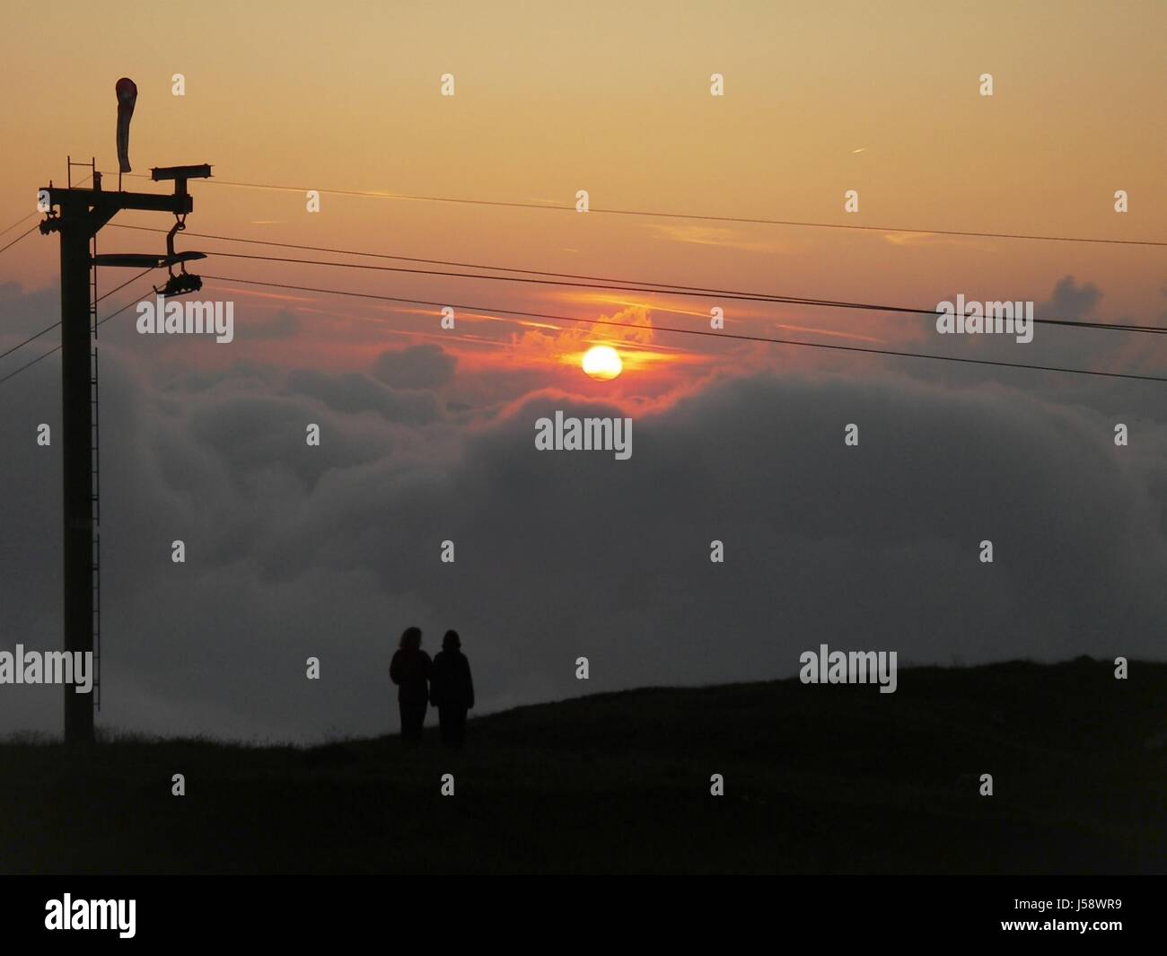 humans human beings people folk persons human human being sunset ...