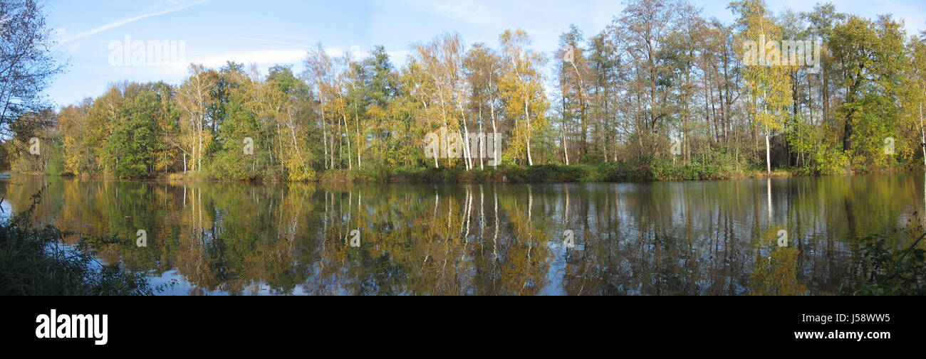 tree trees park sight view outlook perspective vista panorama lookout ...
