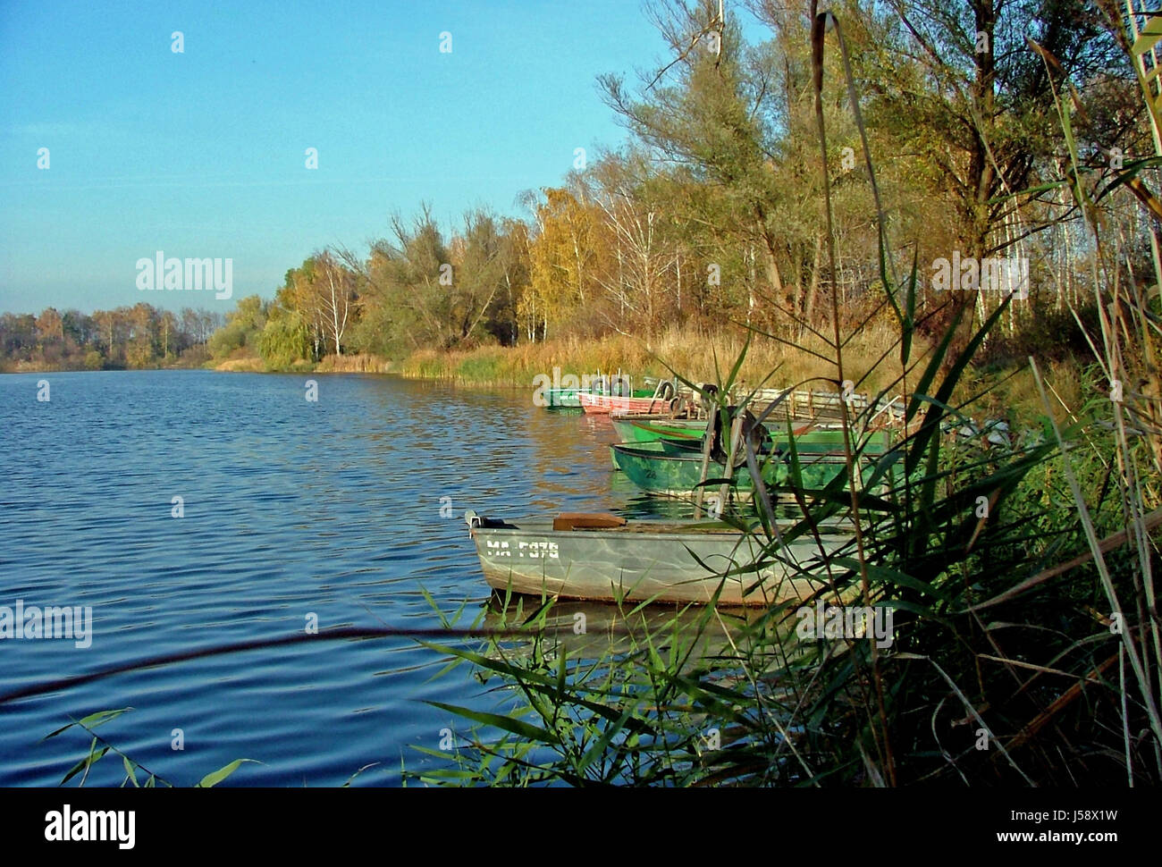 blue tree trees green boats sailing boat sailboat rowing boat boat ...