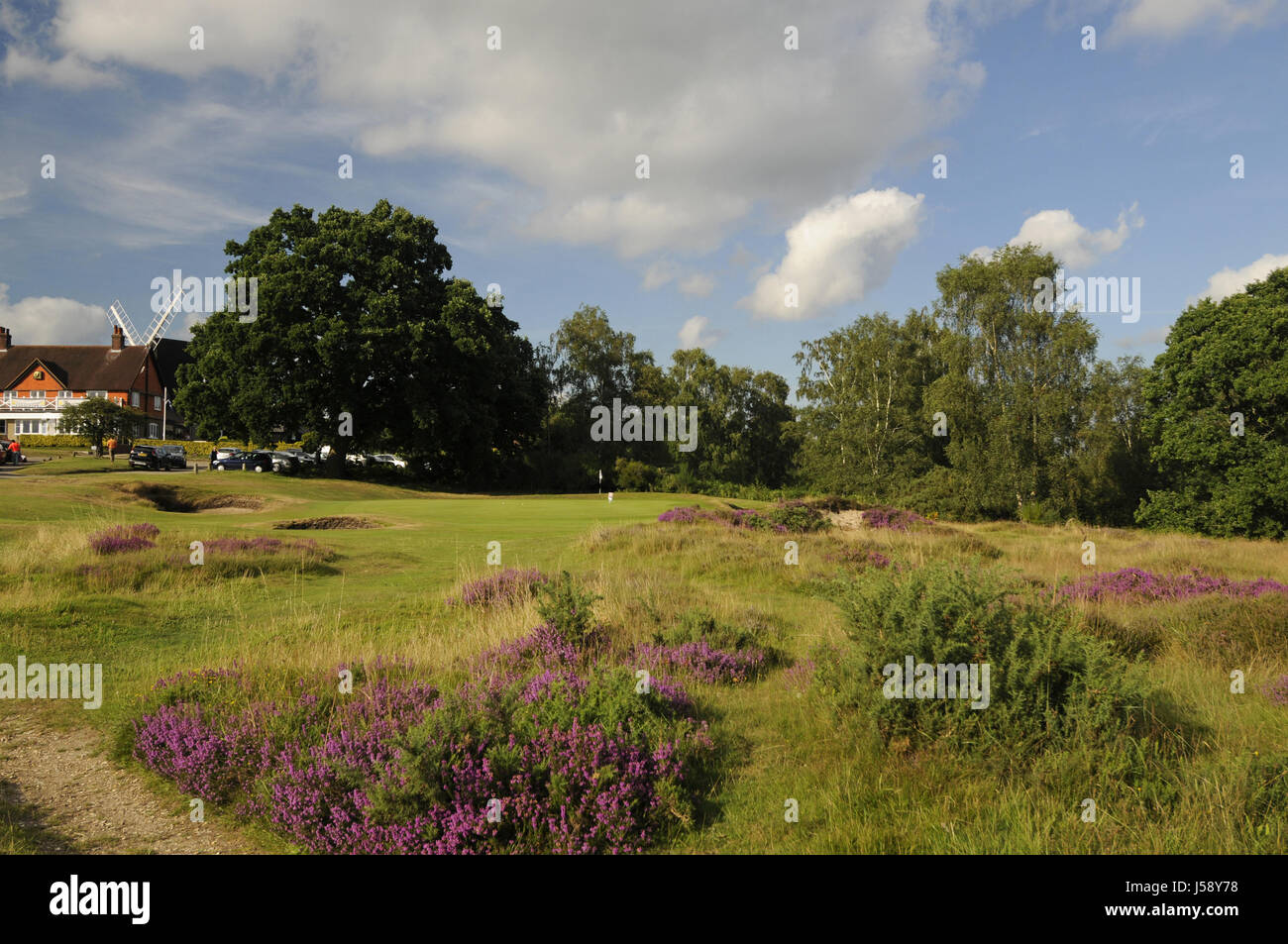 View over heather and fescue grass to small bunkers and 9th Green, the ...