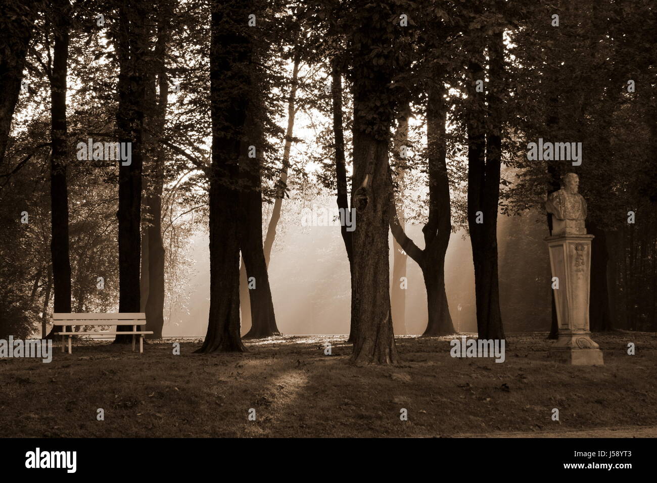 monument tree trees park statue sculpture parkway sunshine bust seat ...