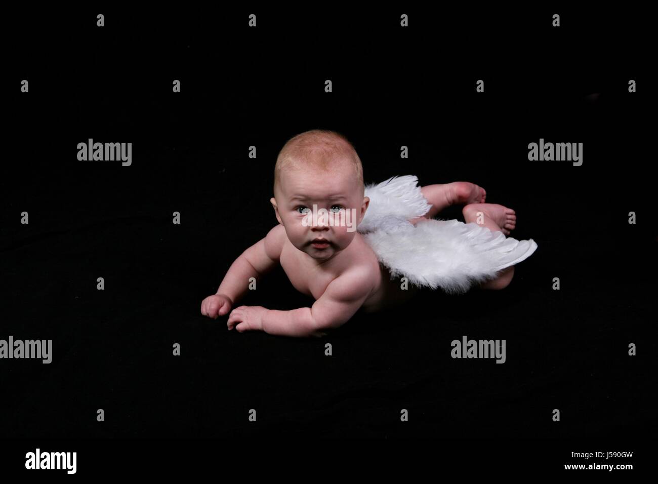 wing baby angel angels the infant jesus child children kids babies ...