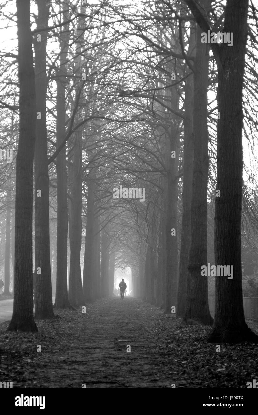 Walk the promenade Black and White Stock Photos & Images - Alamy