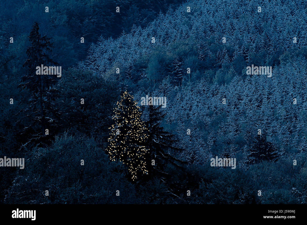 Silent night hi-res stock photography and images - Alamy